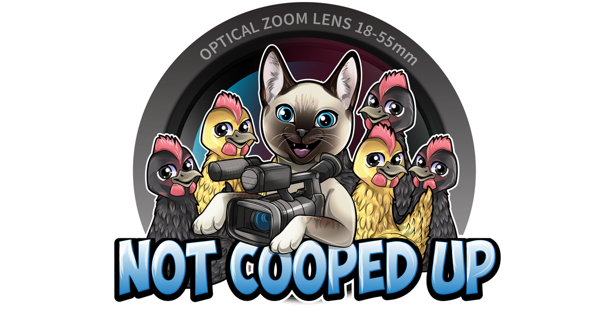 Not Cooped Up